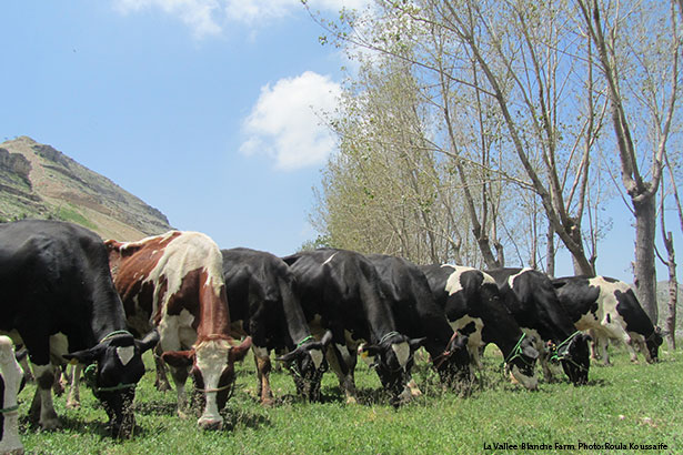 Agritourism in Lebanon - Lebanon Traveler