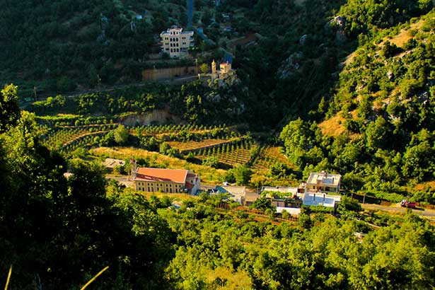 Jabal Moussa Biosphere Reserve - Lebanon Traveler