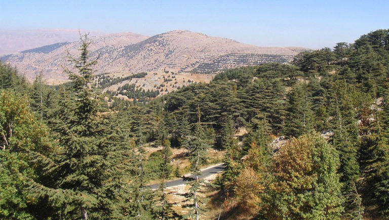 Mini Guide to Barouk - Lebanon Traveler