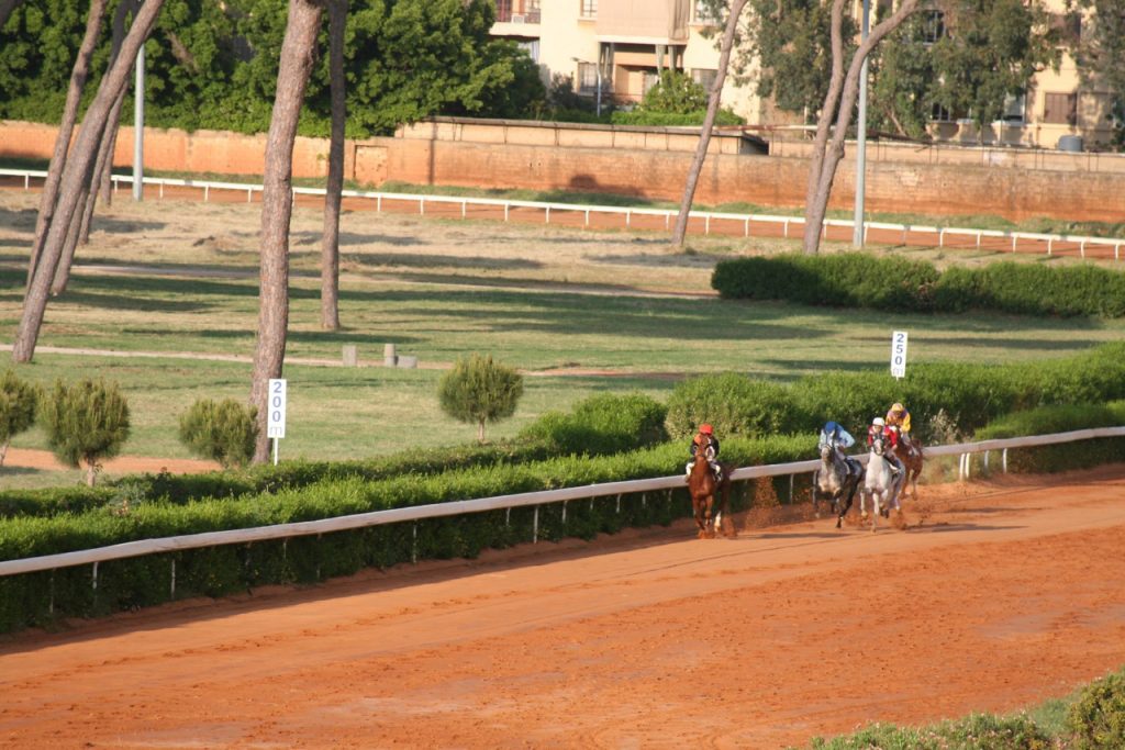 Trotting Back In Time At The City's Hippodrome - Lebanon Traveler