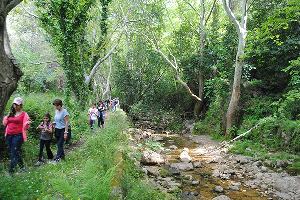 Kaftoun and Nahr El Joz - Lebanon Traveler