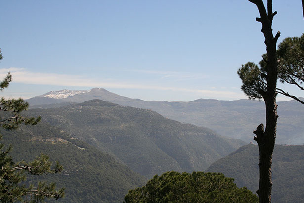 10 Things to Do in Metn - Lebanon Traveler