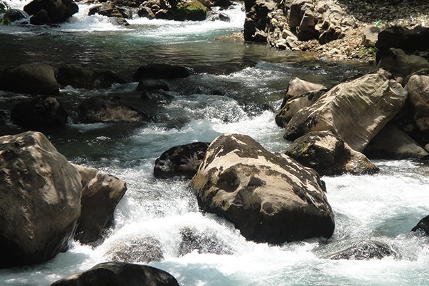 Discovering Lake Chouen - Lebanon Traveler