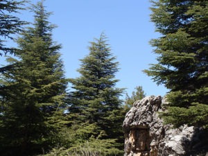 Ecotourism in Ehmej - Lebanon Traveler