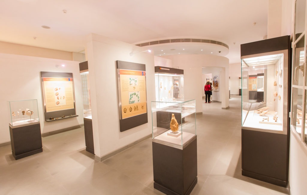 25 Must-See Museums in Lebanon - Lebanon Traveler