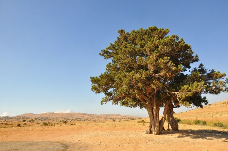 Mini Guide to Hermel - Lebanon Traveler