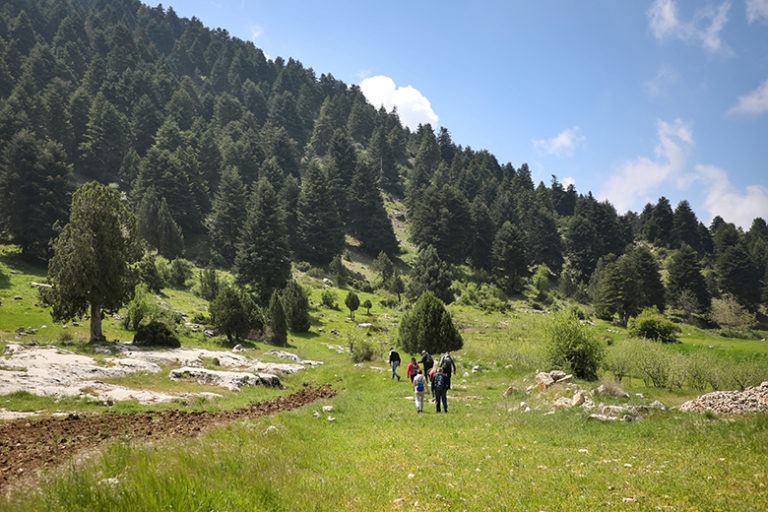 5 Things to Do in Akkar - Lebanon Traveler