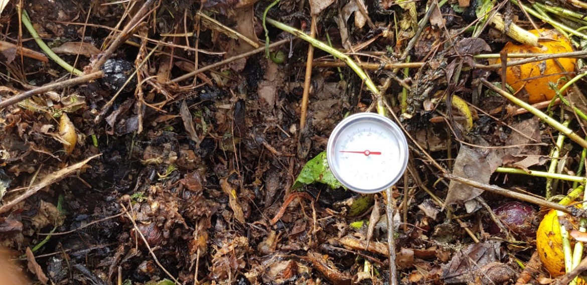 Painting A Greener Picture: Responsible Lebanon - Lebanon Traveler