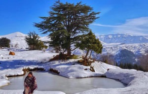 8 Hikes You Won't Want To Miss This Weekend - Lebanon Traveler