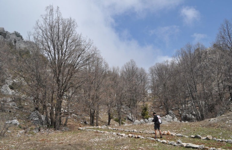 In Focus: Jabal Moussa Biosphere Reserve - Lebanon Traveler