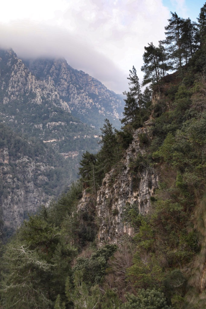 In Focus: Jabal Moussa Biosphere Reserve - Lebanon Traveler