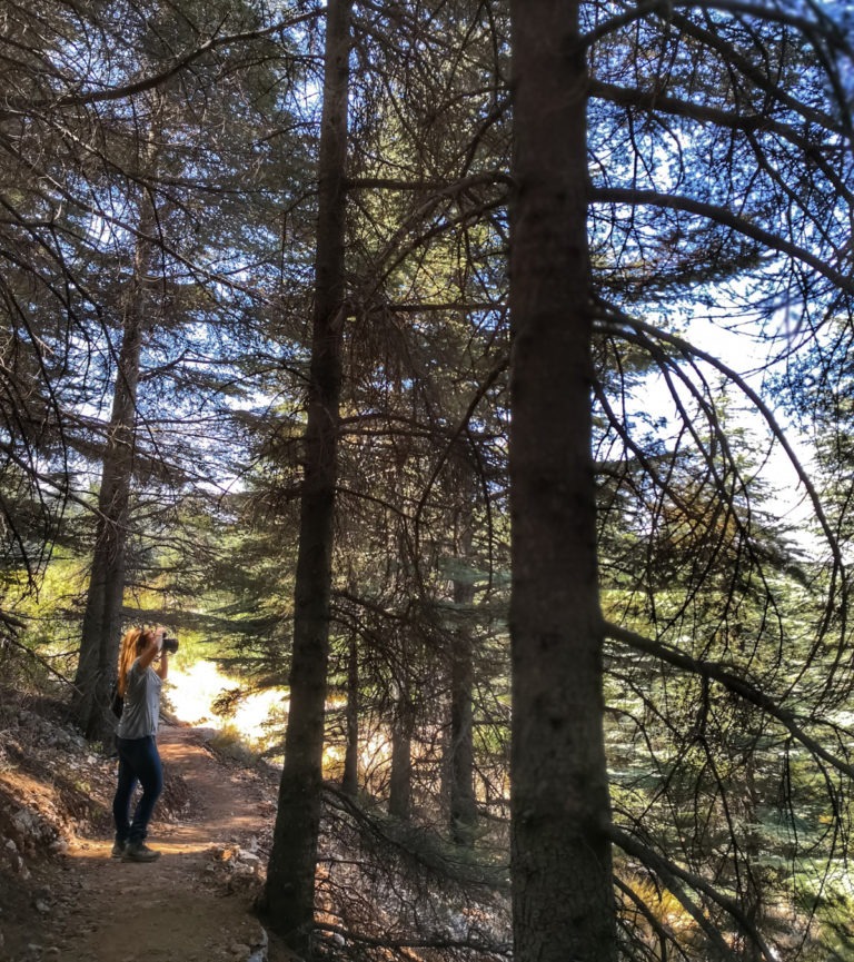 In Focus: Shouf Biosphere Reserve - Lebanon Traveler