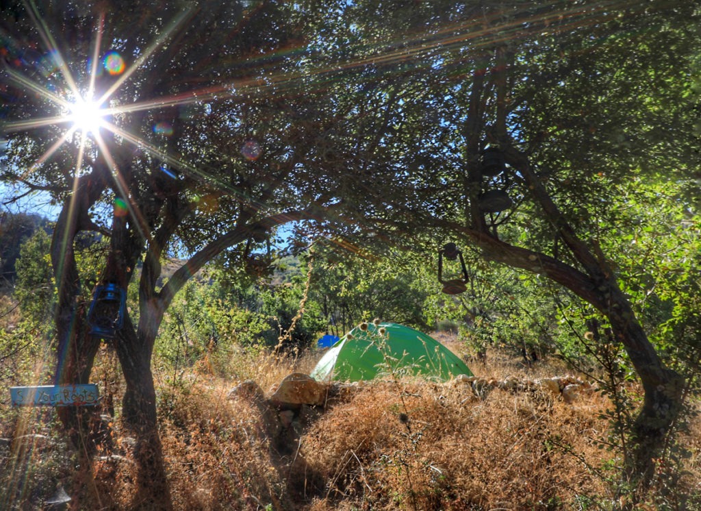 In Focus: Shouf Biosphere Reserve - Lebanon Traveler