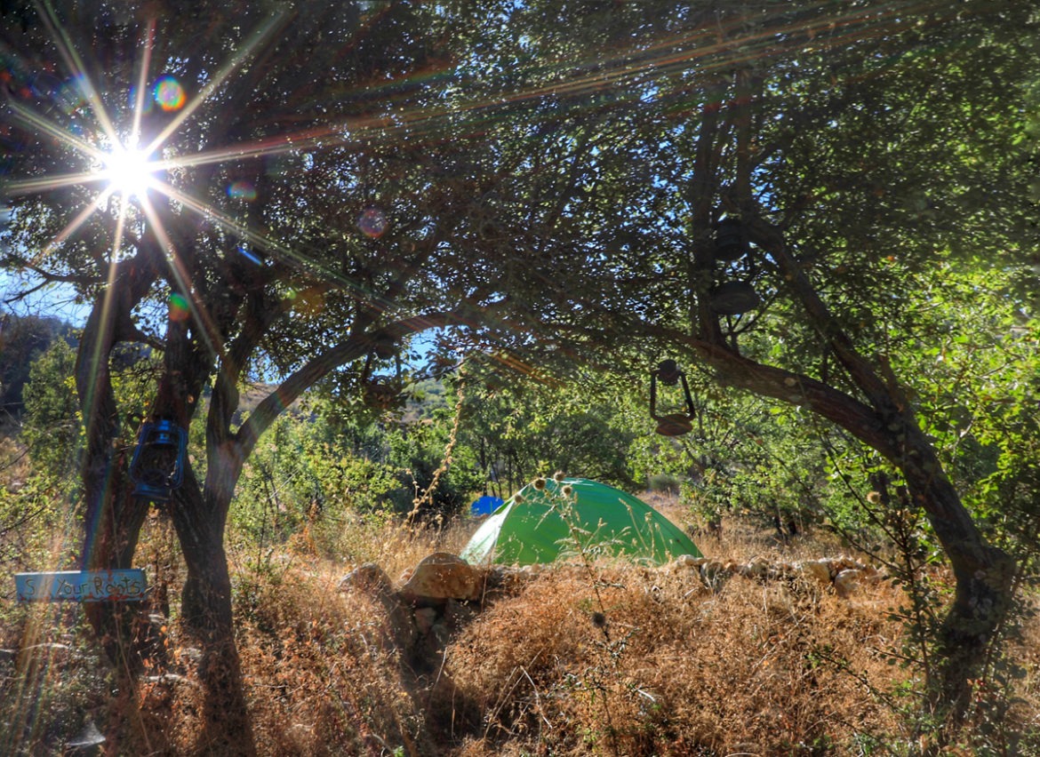 In Focus: Shouf Biosphere Reserve - Lebanon Traveler