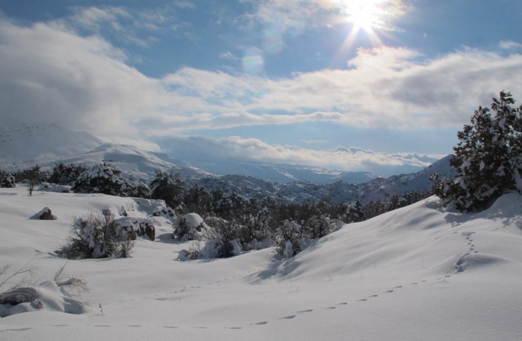 8 Hikes You Won't Want To Miss This Weekend - Lebanon Traveler