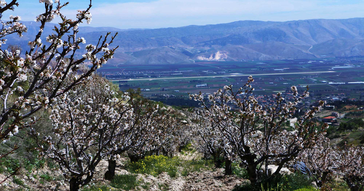 9 Events For This Weekend - Lebanon Traveler