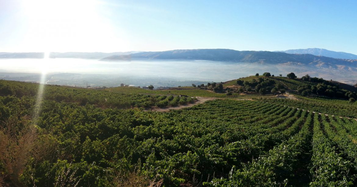 5 Places in West Bekaa Worth Visiting - Lebanon Traveler
