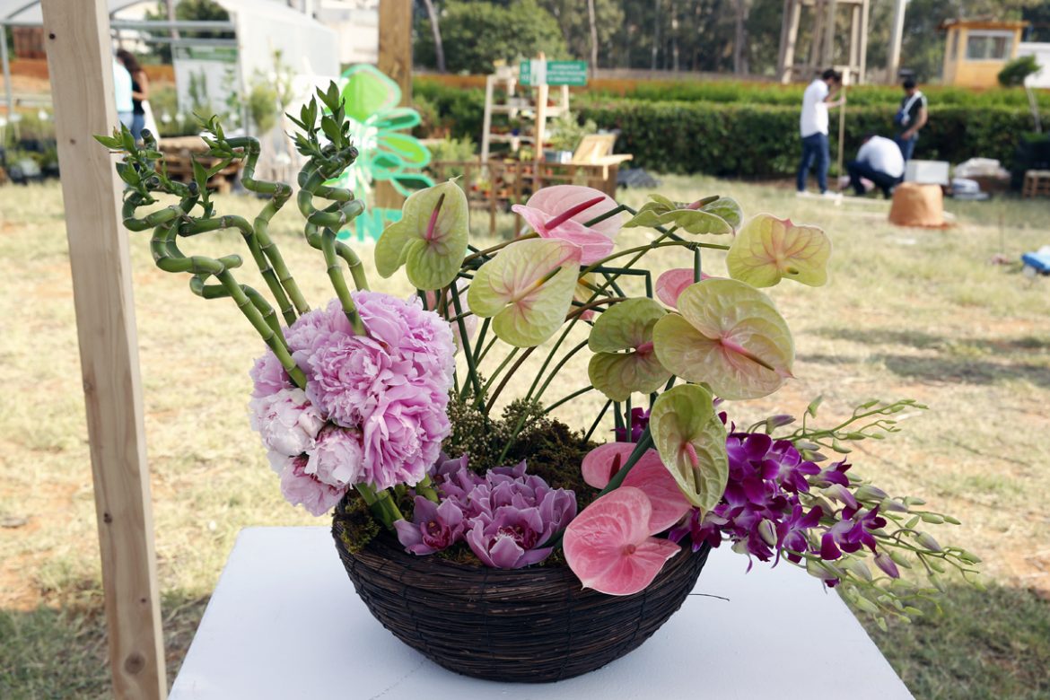 The Garden Show & Spring Festival To Elect Lebanon's National Rose ...
