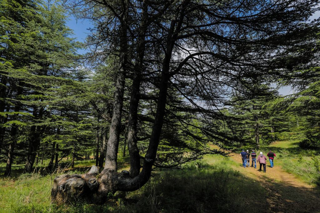 5 Things You Can Do In Hadath El Jebbeh - Lebanon Traveler
