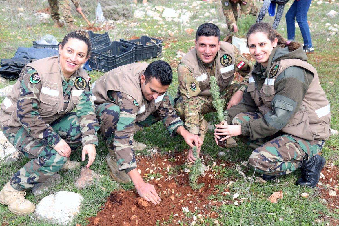 Restoring Lebanon's Forests - Lebanon Traveler