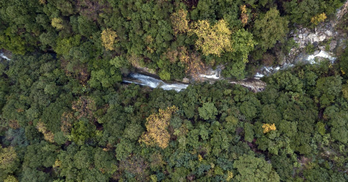 7 Nature Reserves To Visit In Lebanon - Lebanon Traveler