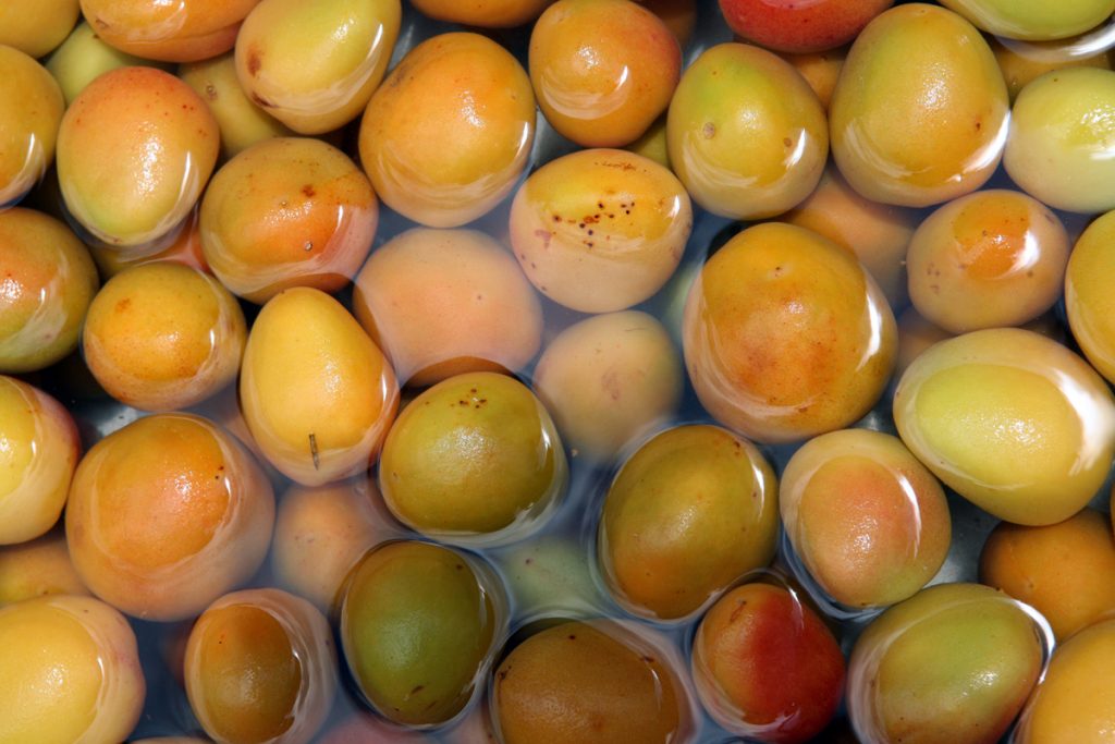 Lebanese Apricot Jam - Lebanon Traveler