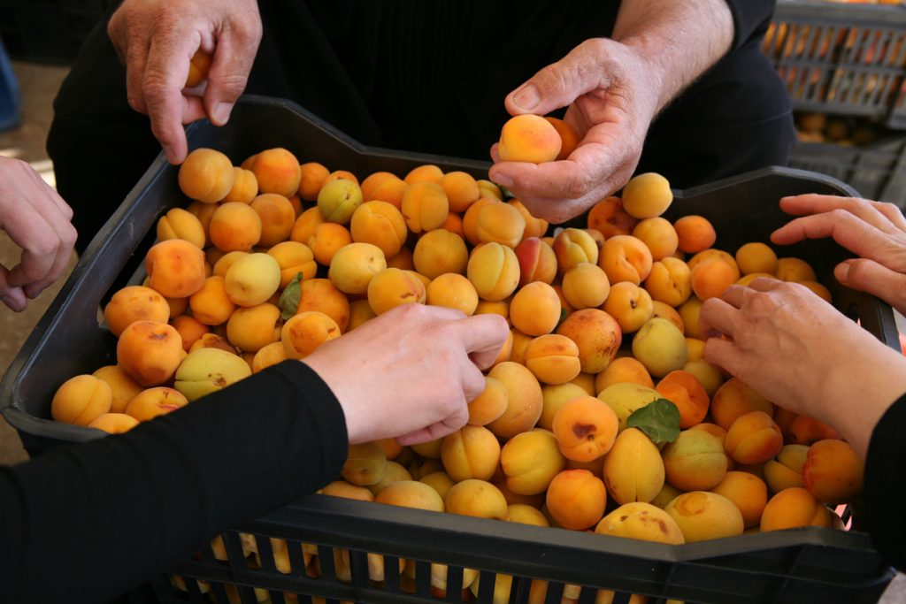 Lebanese Apricot Jam - Lebanon Traveler