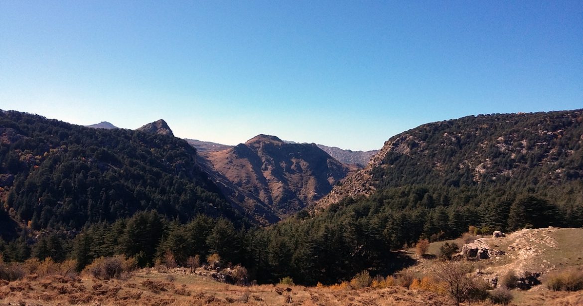 7 Nature Reserves To Visit In Lebanon - Lebanon Traveler