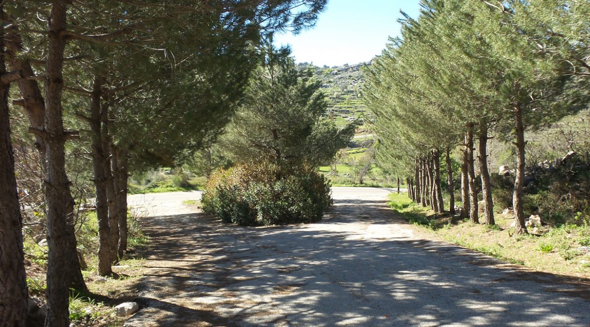 The Hidden Faces Of Jezzine - Lebanon Traveler