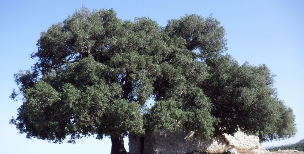 6 Hikes To Escape This Weekend - Lebanon Traveler