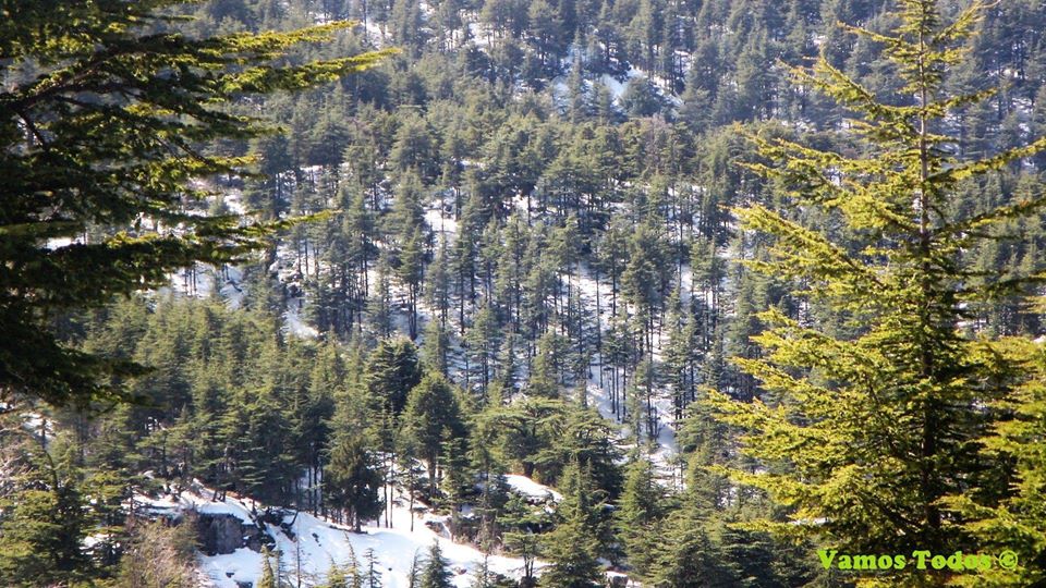 Hadath El Jebbeh Snowshoeing with Vamos Todos - Lebanon Traveler