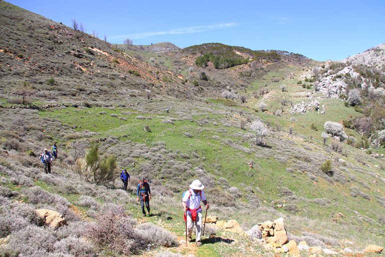 Explore the Mountains of Lebanon this Spring - Lebanon Traveler