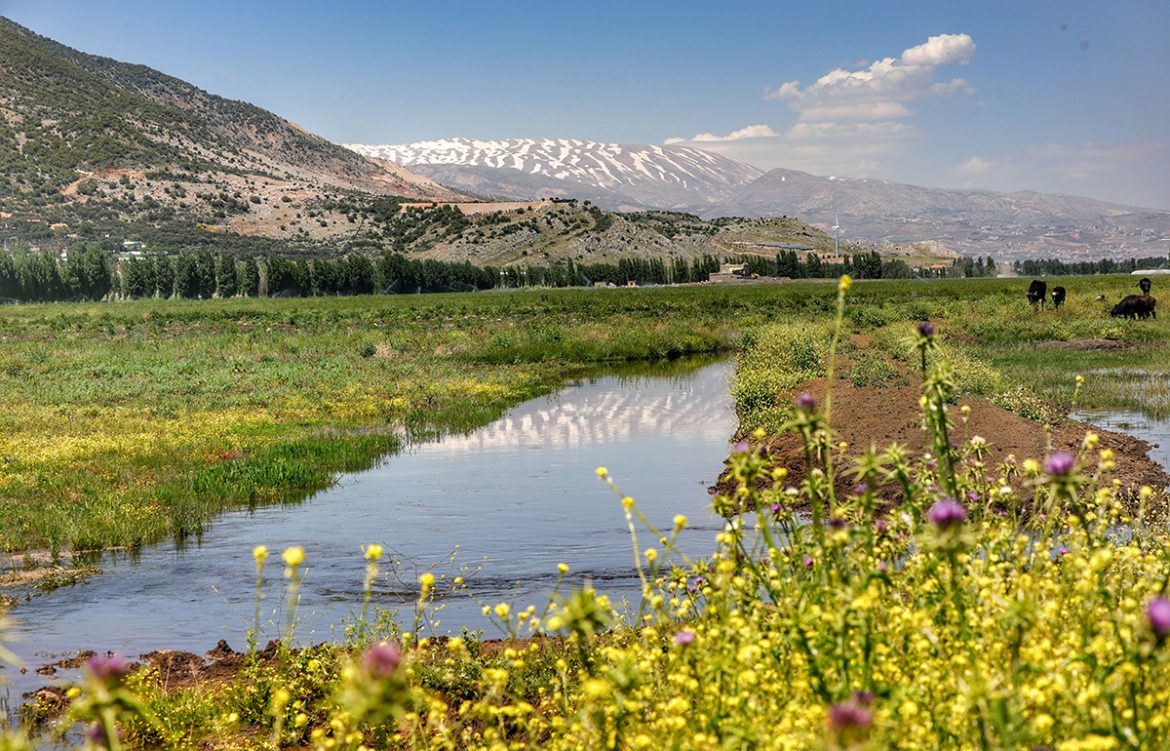 12 Incredible Photos of Spring in Lebanon - Lebanon Traveler