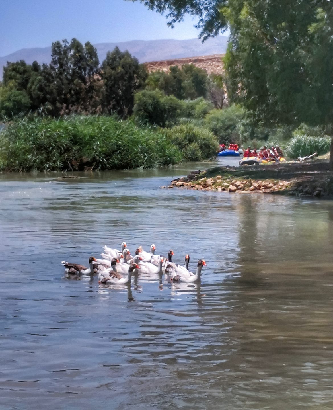 12 Incredible Photos of Spring in Lebanon - Lebanon Traveler
