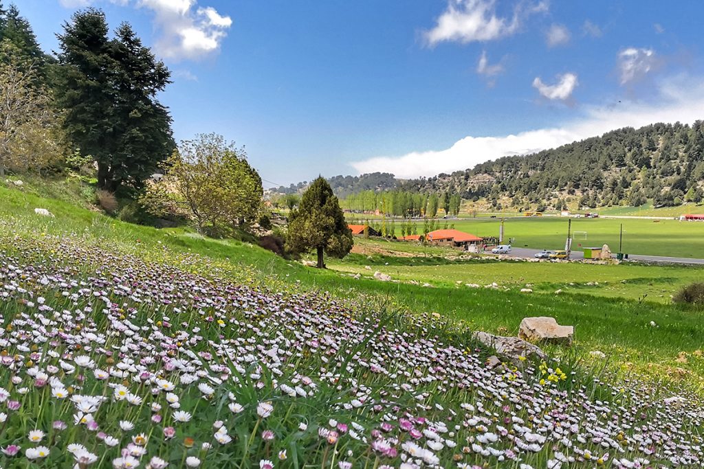 12 Incredible Photos of Spring in Lebanon - Lebanon Traveler