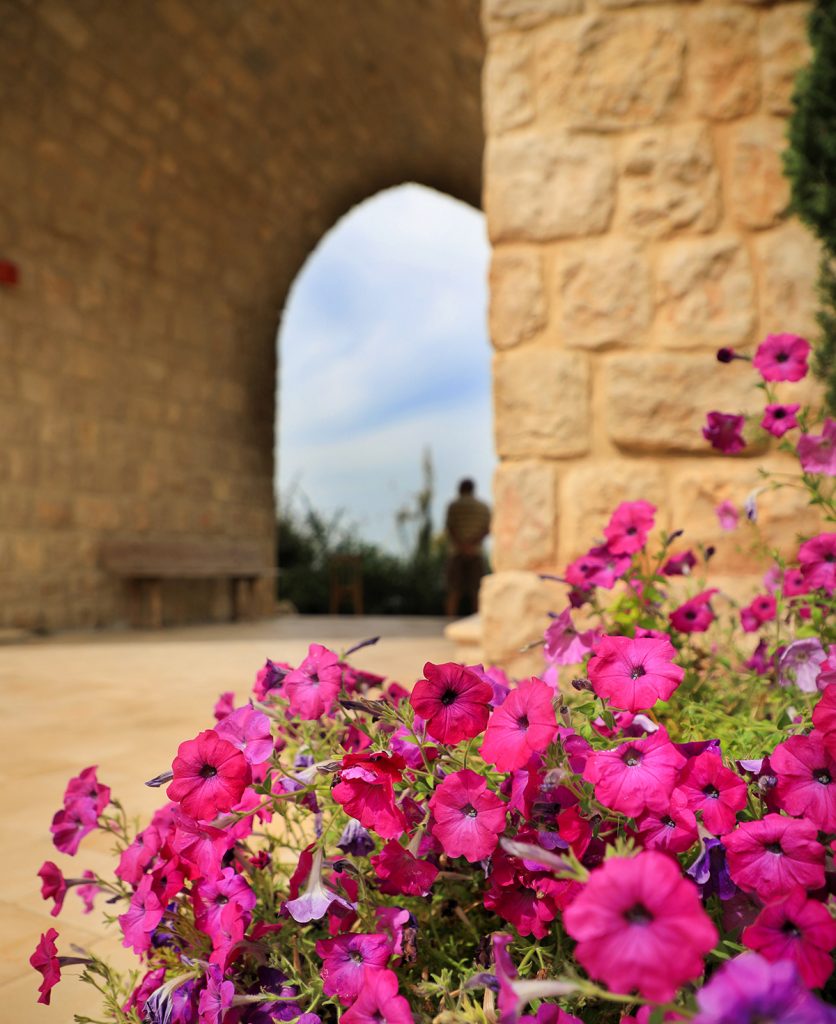 12 Incredible Photos of Spring in Lebanon - Lebanon Traveler