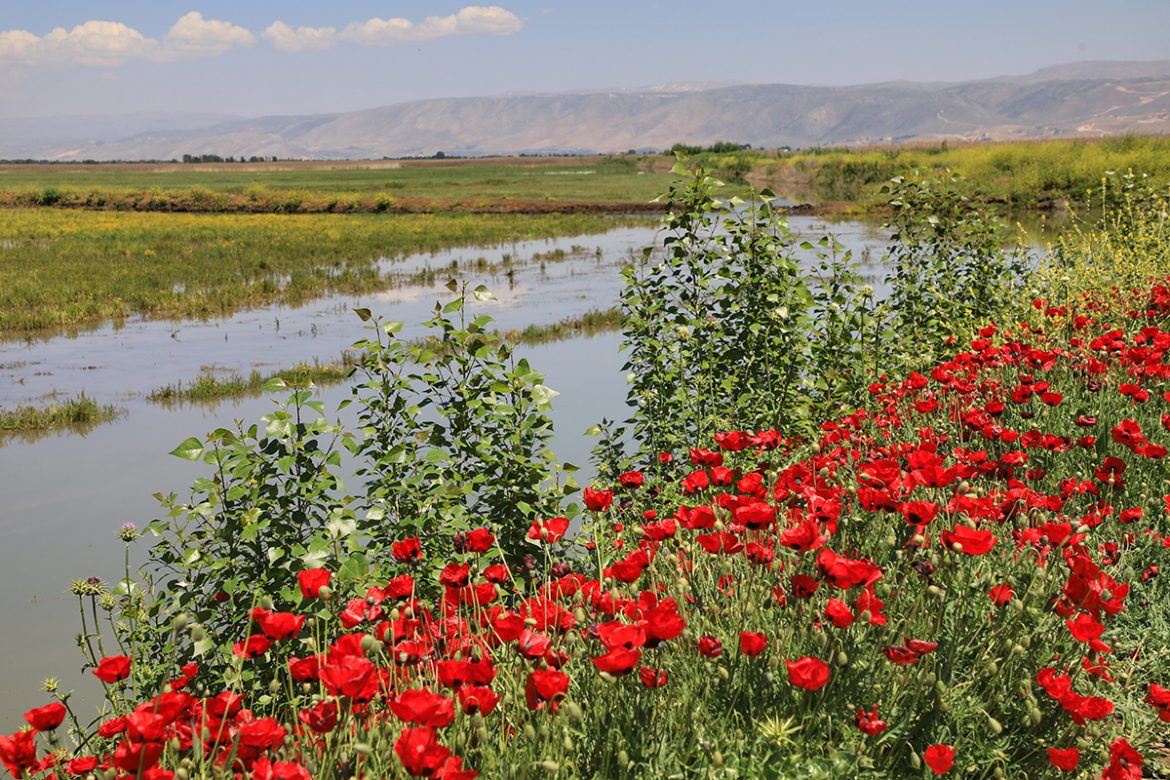 12 Incredible Photos of Spring in Lebanon - Lebanon Traveler