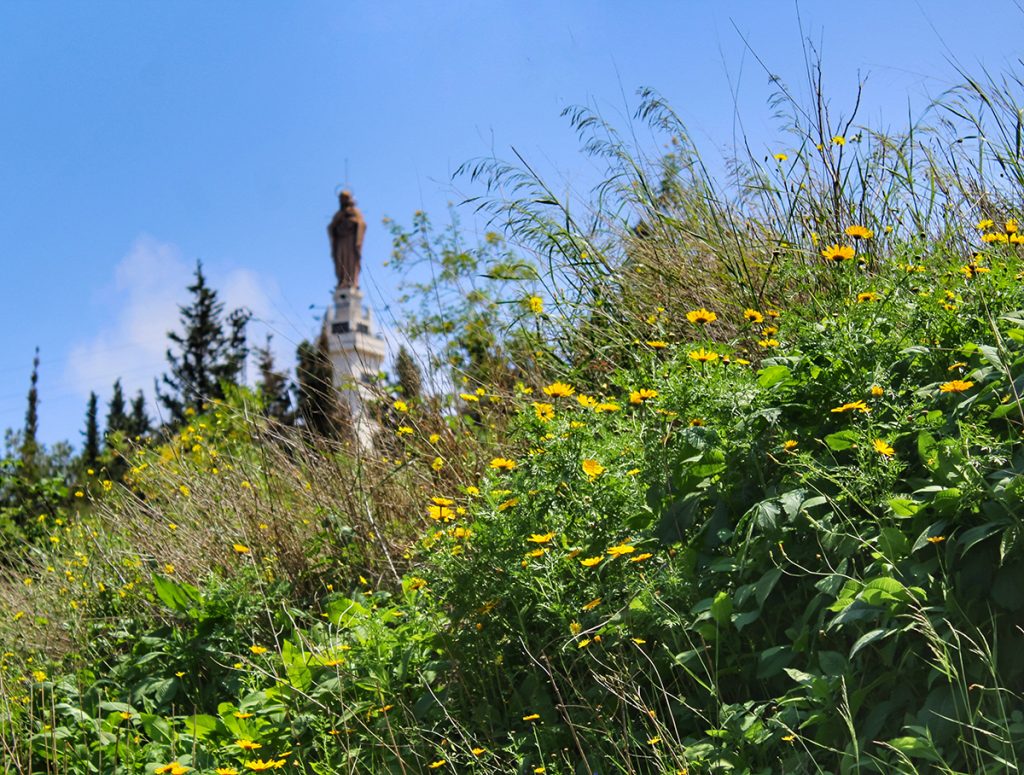 12 Incredible Photos of Spring in Lebanon - Lebanon Traveler