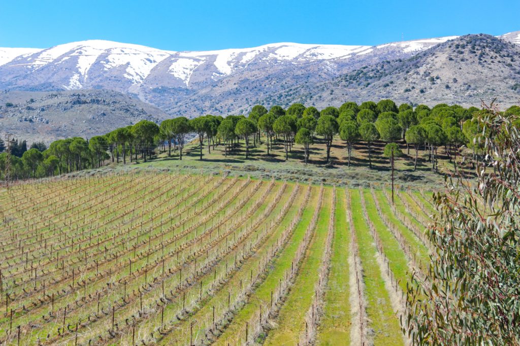 18 Places of Outstanding Natural Beauty in Lebanon - Lebanon Traveler