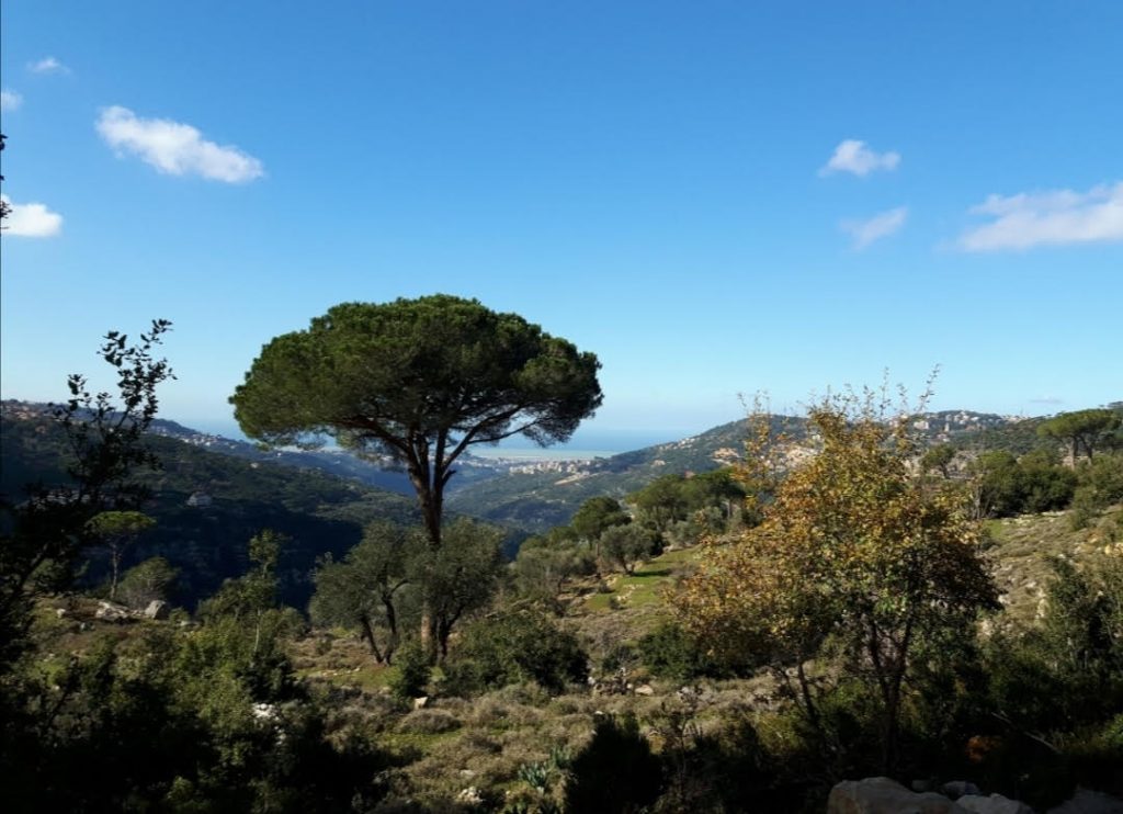 Touring the Maten Region - Lebanon Traveler