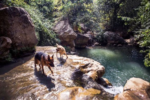 Mini Guide to Rechmaya - Lebanon Traveler