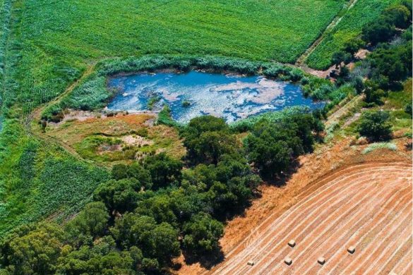 Exploring Ammiq with Al Wadi Al Akhdar - Lebanon Traveler