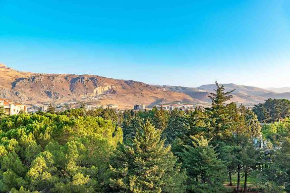 Mini Guide to Faraya - Lebanon Traveler