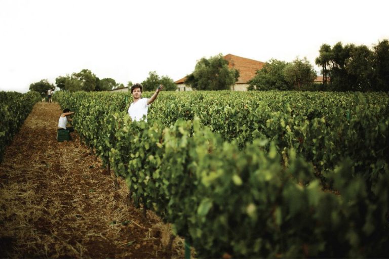 Mini Guide to Chtaura - Lebanon Traveler