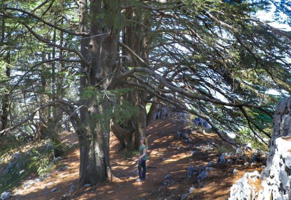 10 Best Natural Wonders in Lebanon - Lebanon Traveler