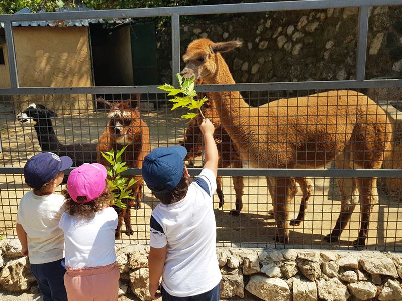 Fun Outdoor Places to Take Your Kids in Lebanon - Lebanon Traveler