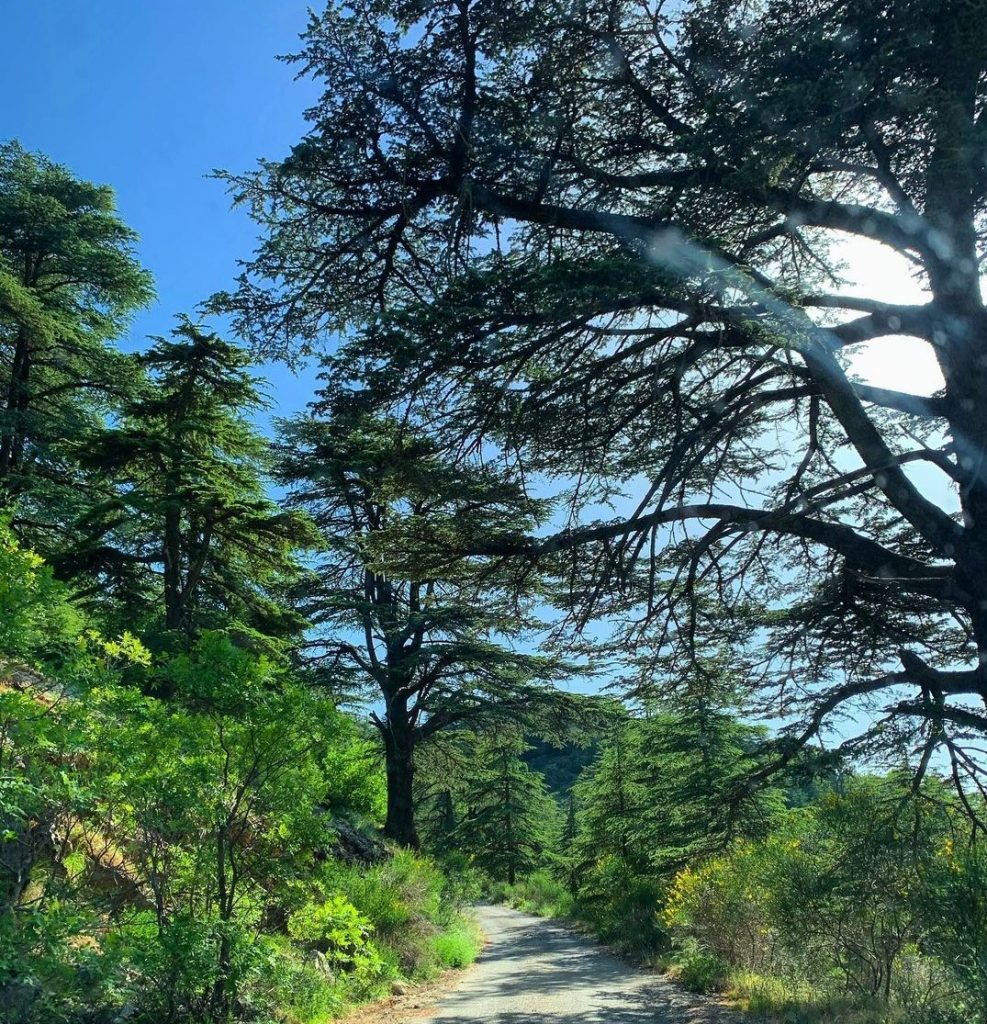 10 Must-Have Experiences in Lebanon - Lebanon Traveler