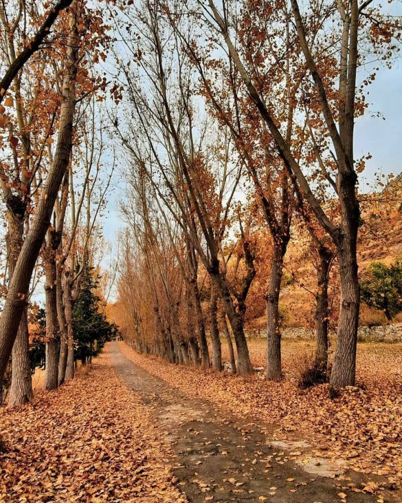 Top 10 Hikes in Lebanon to Enjoy this Fall - Lebanon Traveler