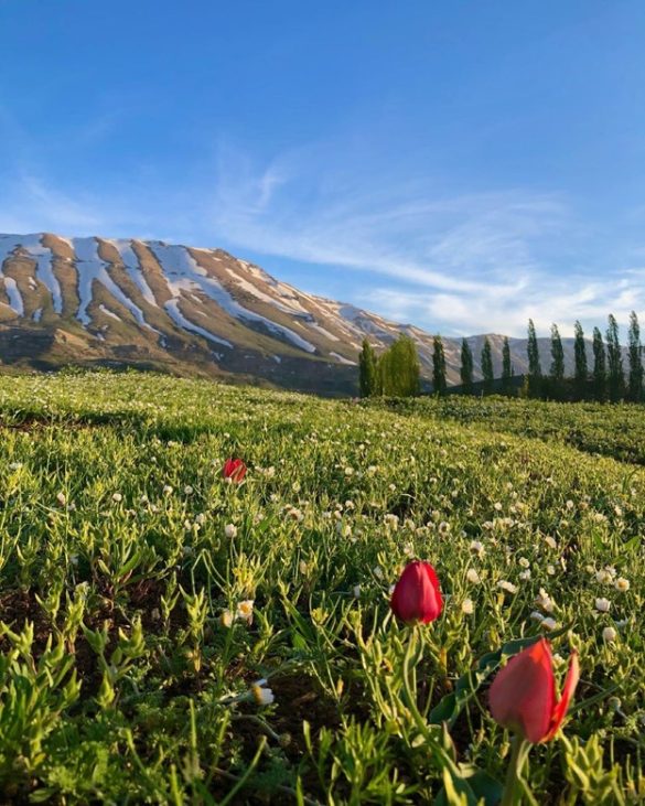 Springtime in Lebanon: 10 Photos that Will Take Your Breath Away