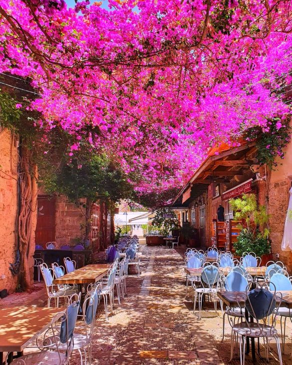 Springtime in Lebanon: 10 Photos that Will Take Your Breath Away